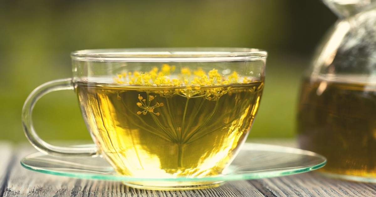 Ceaiul care are grijă de digestia ta: Elimină gazele intestinale și ...